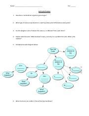 Cell Cycle Practice Understanding Growth Reproduction And Course Hero