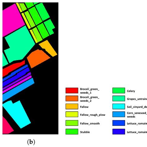 University Of Pavia Dataset A True Color Image B Pseudo Ground