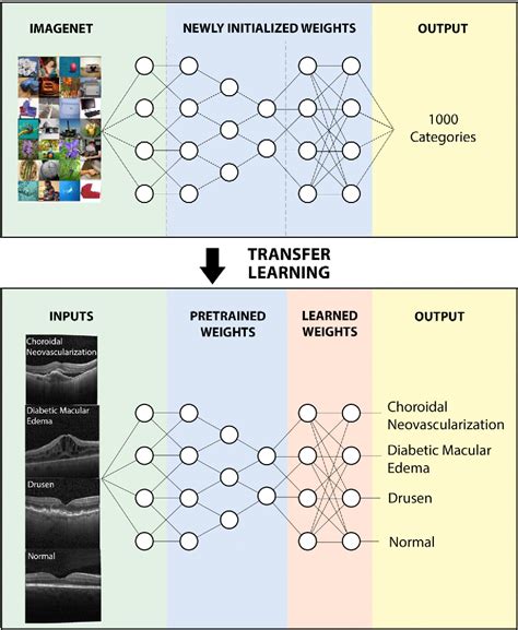 Figure 1 From Identifying Medical Diagnoses And Treatable Diseases By Image Based Deep Learning
