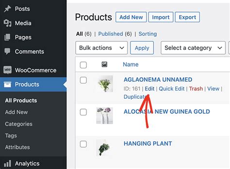 How To Get And Display Product Descriptions In Woocommerce