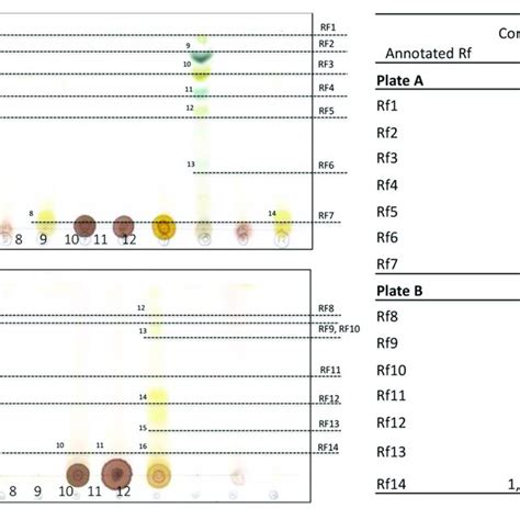 Thin Layer Chromatography And Calculated Retention Factor Rf Values Download Scientific