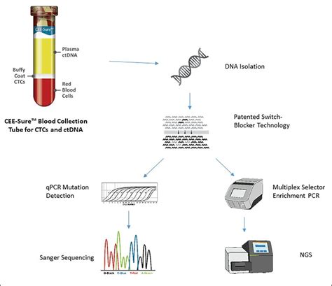 Target Selector Workflow Selective Mutation Enrichment Enables Highly