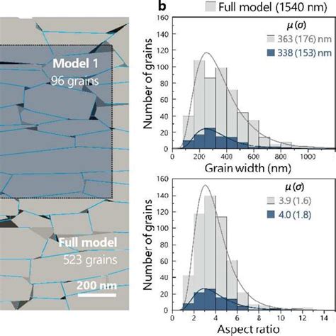 Microstructure Of The Tomography Based Nd Fe B Models A Side View Of Download Scientific