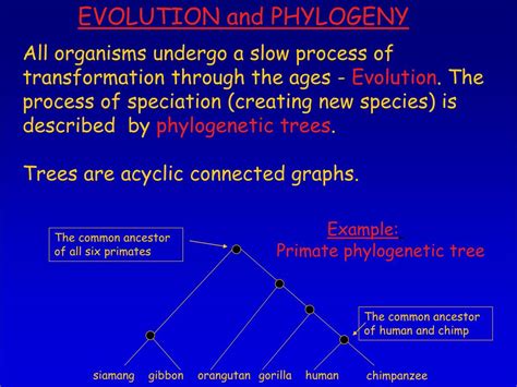 Ppt Multiple Sequence Alignment And Phylogenetic Trees Powerpoint