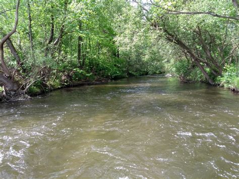 Application Of The Water Framework Directive In Practice Mandp Group