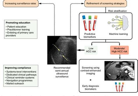 Figure 2 From Epidemiology And Surveillance For Hepatocellular Carcinoma New Trends Semantic