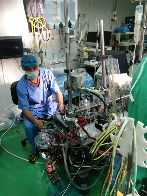 Innovative Ecmo Concepts Inc Vivarium Training Allows Your Ecmo Team To Cannulate In