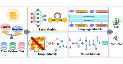 Deep Learning In Antimicrobial Peptide Prediction Journal Of Chemical Information And Modeling