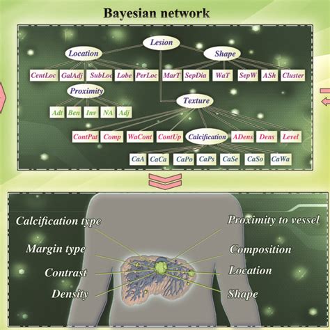 medical image annotation via active learning in this algorithm the download scientific diagram