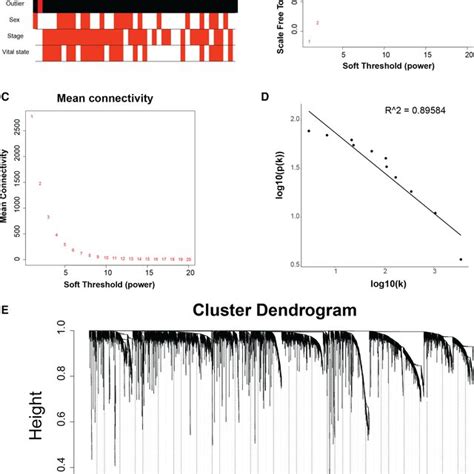 Weighted Correlation Network Analysis Identified Twelve Modules In Download Scientific Diagram