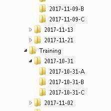 File Structure Of The Data Folder Download Scientific Diagram