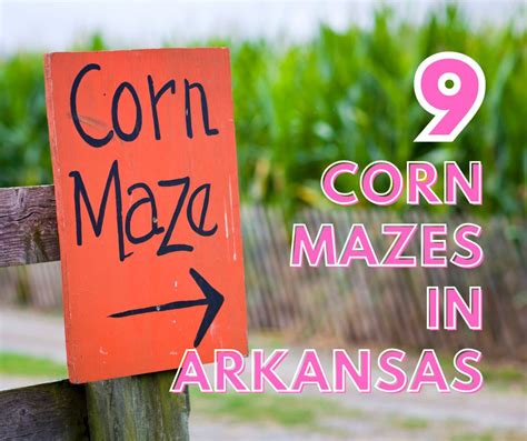 Lost In The Corn Magic Finding Your Way Through Arkansass Corn Mazes All About Arkansas