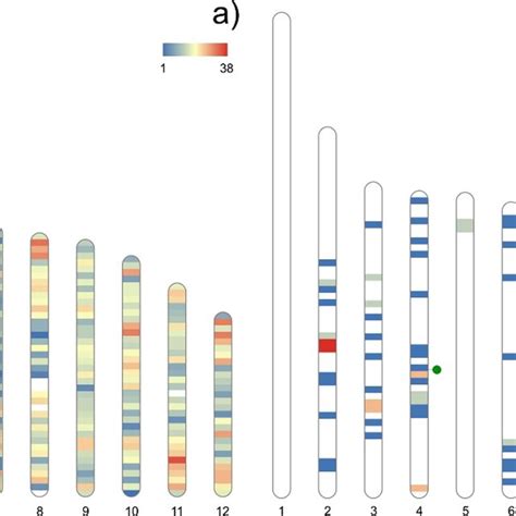 Density Of Snps Per 1 Mbp Distributed Over 12 Reference Chromosomes A