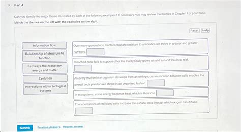 Solved Part Acan You Identify The Major Theme Illustrated By