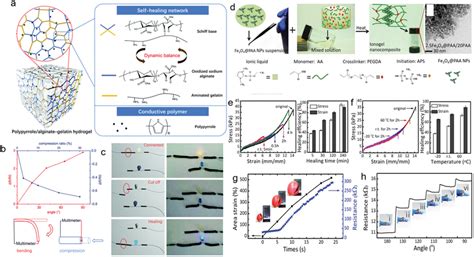 A Schematic Illustration Of Polypyrrolealginategelatin Hydrogel And