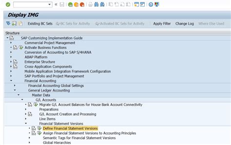 How To Create Financial Statement Version In Sap S4 Hana