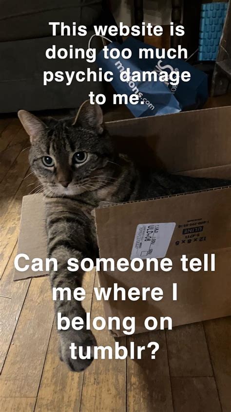 Hey Yall Trying To Migrate But Have No Idea How To Use Tumblr Any Tips Rbpdmemes