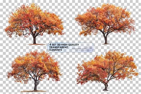 Осеннее дерево Png изолировано на прозрачном фоне Премиум Ai