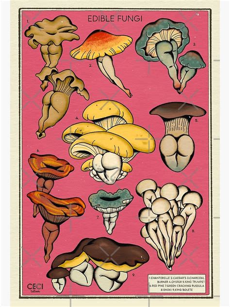 Edible Sexy Mushrooms Chart Art Print For Sale By Ceci Tattoos Redbubble