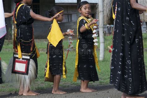 Dancing In Traditional Clothes Flores Indonesia Editorial Stock Image Image Of Village Island