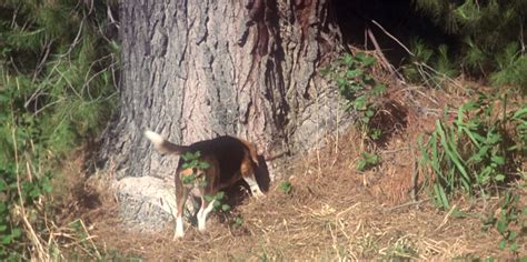 Unraveling Star Treks Elusive Class M Planet Enigma A Groundbreaking Discovery By Enterprise