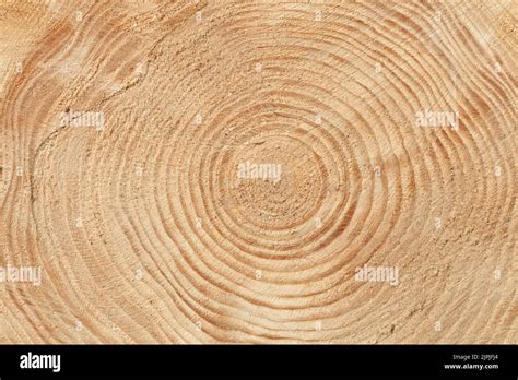 Tree Trunk Structure Tree Ring Trunks Structures Stock Photo Alamy