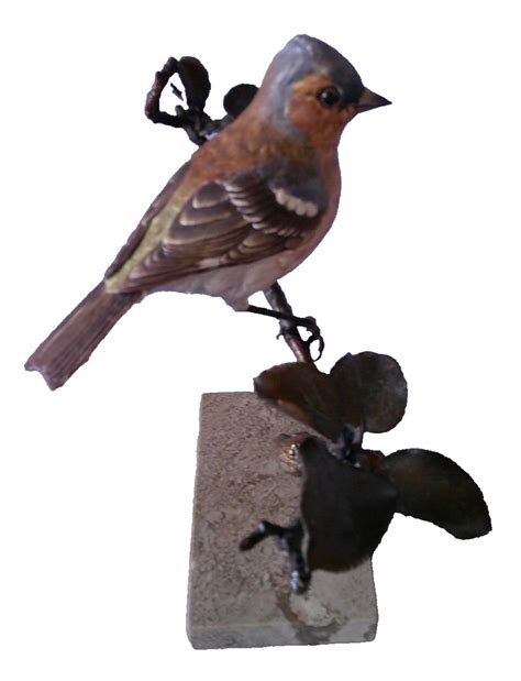 Albany Fine China Limited Edition Chaffinch Bird Modelled By David