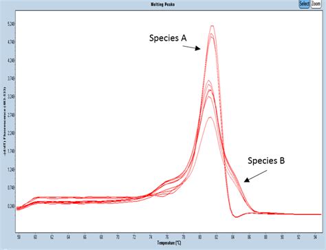 Qpcr Melting Curve Analysis Shows A Shoulder On Both Sides Of The Curve