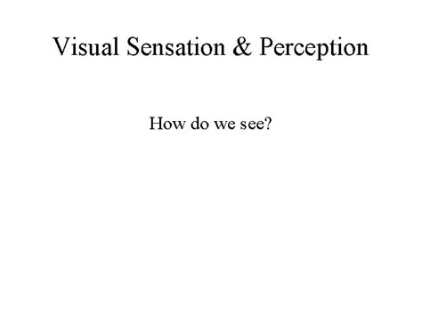 visual sensation perception how do we see structure