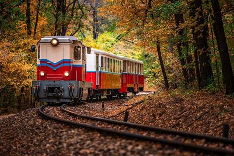 Premium Photo Train In Forest During Autumn