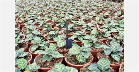 Update Enables New Logging Features