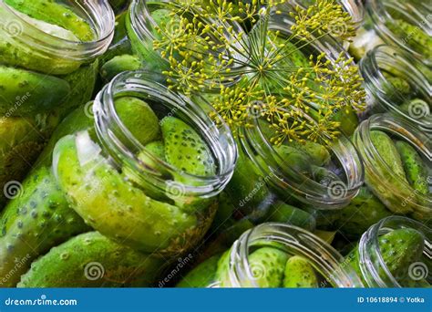Cucumbers Pickles Stock Photo Image Of Kishon Vegetables