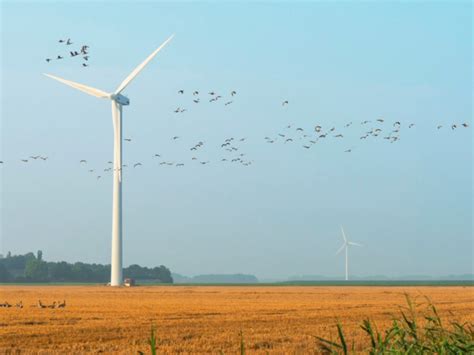 Вълчи дол се вдига на протест против перките Красив Вълчи дол