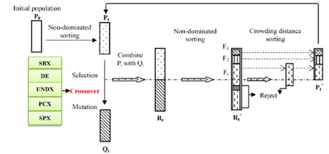 Major Process Of The C Nsga Ii Optimization Adapted From Deb Et Al