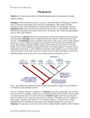 Phylogenetics LAB S Docx NYU Department Of Anthropology Phylogenetics Objective To