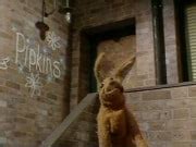 Hartley Hare