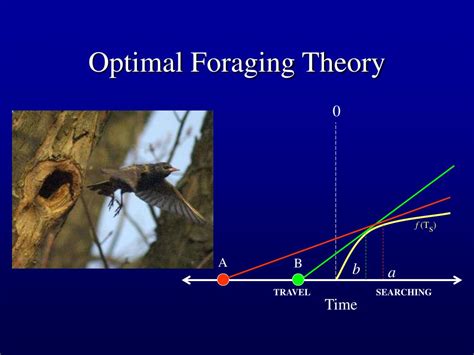 PPT Foraging Tactics PowerPoint Presentation Free Download ID