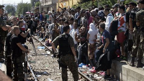 50 000 нелегални мигранти са преминали от Македония в Западна Европа Новини бг