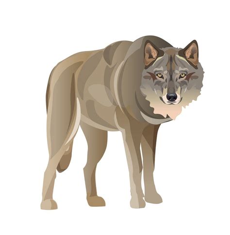 狼 イラスト フリーイラスト素材「いらすとやjp」