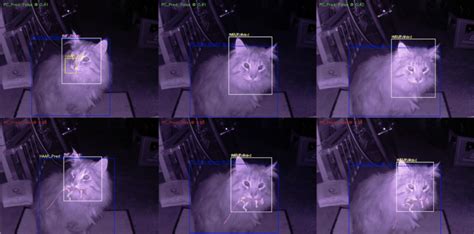 Deep Learning Cat Prey Detector Raspberry Pi