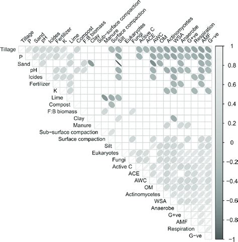 Visualization Of A Correlation Matrix Showing Coefficients Between