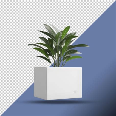 Комнатное растение на прозрачном фоне Png изображение Премиум Ai сгенерированный Psd