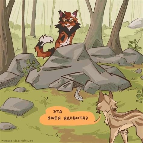 коты воители Кленовница и Веснушка Смешные кошачьи мордашки Кот воитель Кошки воины