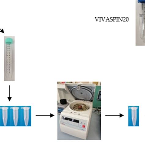 Flowchart Of Tests Carried Out On Concentration Methods Peg Dextran Download High