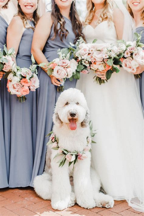 Tips For Including Your Pup In Your Wedding The Mackey House