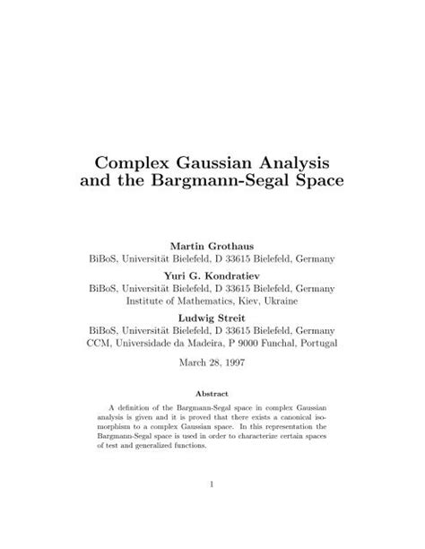 Complex Gaussian Analysis And The Bargmann Segal Space Ccm
