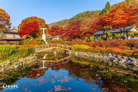충북 제천 가볼만한곳 4곳 자드락길 청풍호 일출 배론성지 의림지 용추폭포 유리 전망대 비룡담저수지 충청도 드라이브 여행