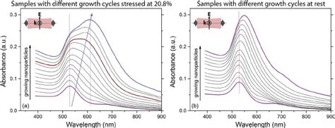 Extinction Spectra Of Gold Nanoparticle Coated Pdms Samples With Di Ff Download Scientific
