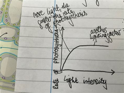 Biology Topic Flashcards Flashcards Quizlet