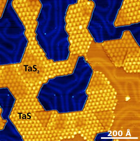 Lateral Heterostructure Of Tas 2 And Tas On Au 111 P H 2 S 10 −7 Download Scientific